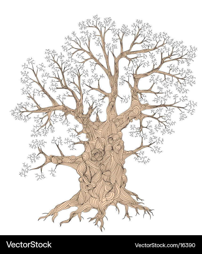 Gnarled tree Royalty Free Vector Image - VectorStock