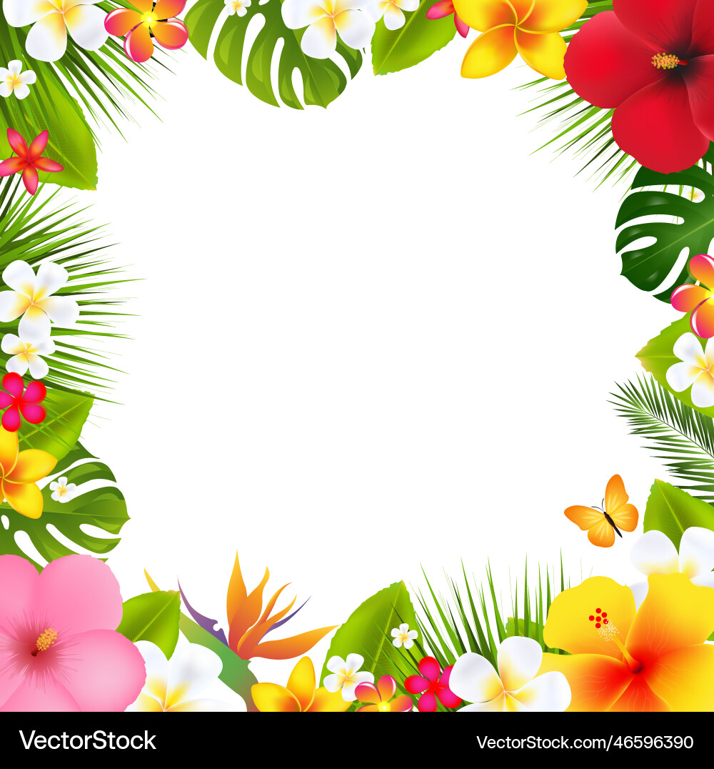 Palm leaves and flowers frame isolated white Vector Image