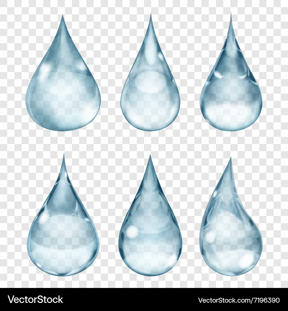 Transparent drops Royalty Free Vector Image - VectorStock