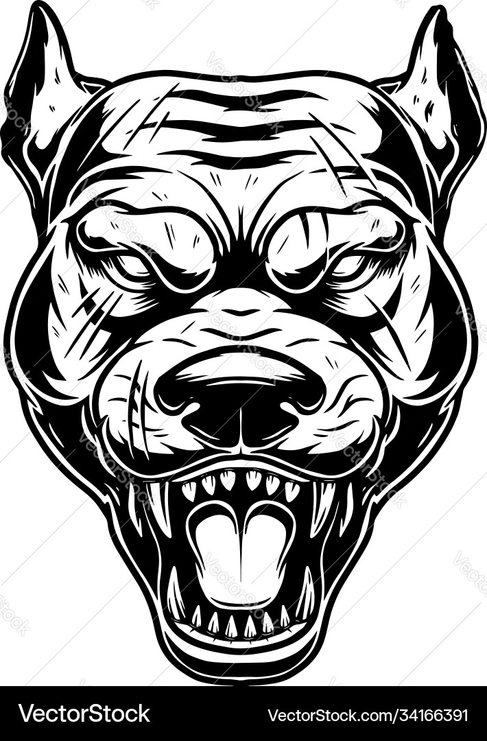 Angry Pitbull Head - Monochrome Royalty Free Vector Image