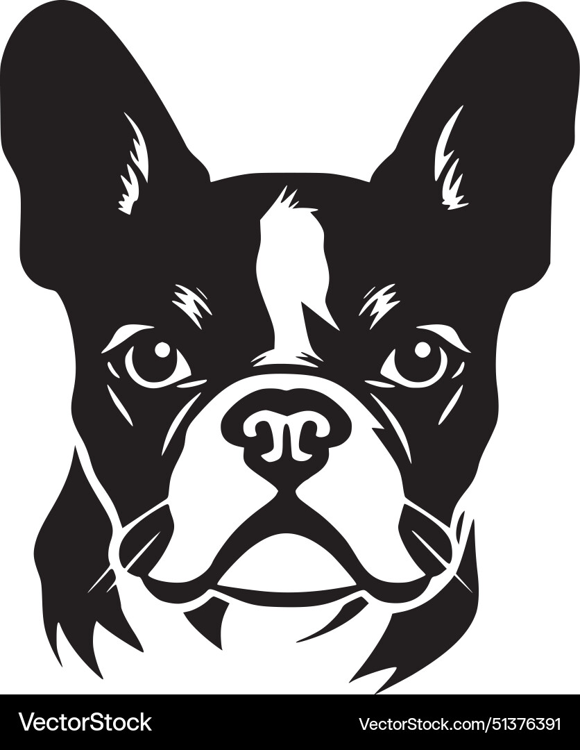 Boston terrier - high quality logo ideal Vector Image