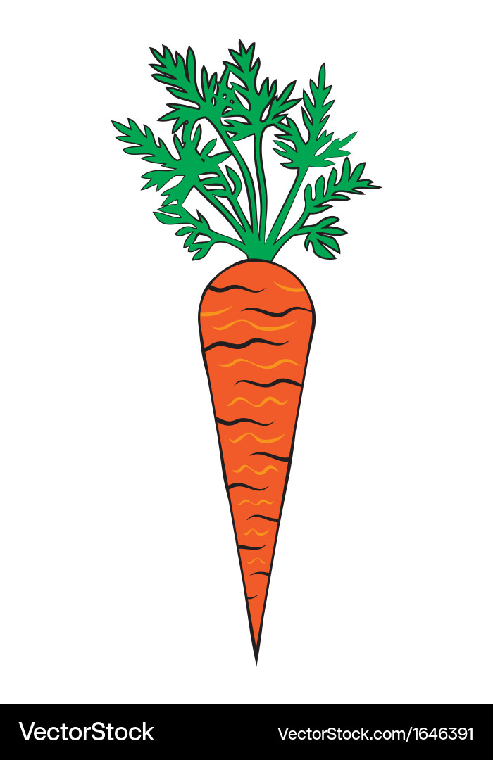 Carrot Royalty Free Vector Image - VectorStock