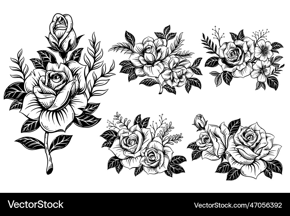 Set bundle collection rose flower line art Vector Image