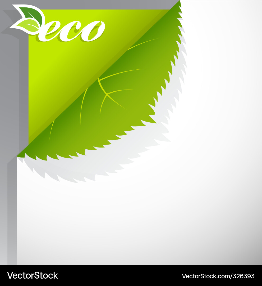 Eco Corner - Natural Elements Royalty Free Vector Image