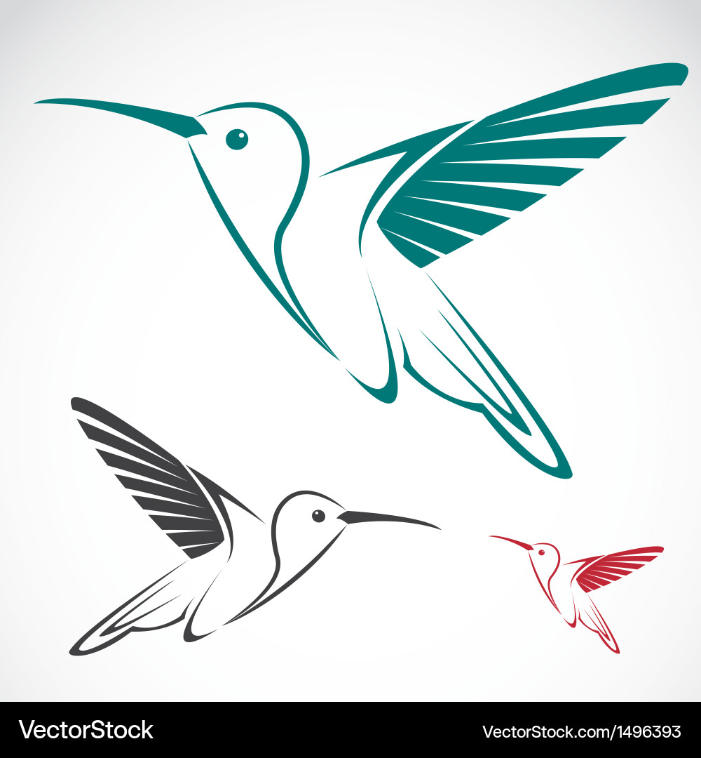 Elegant Hummingbird Royalty Free Vector Image - VectorStock