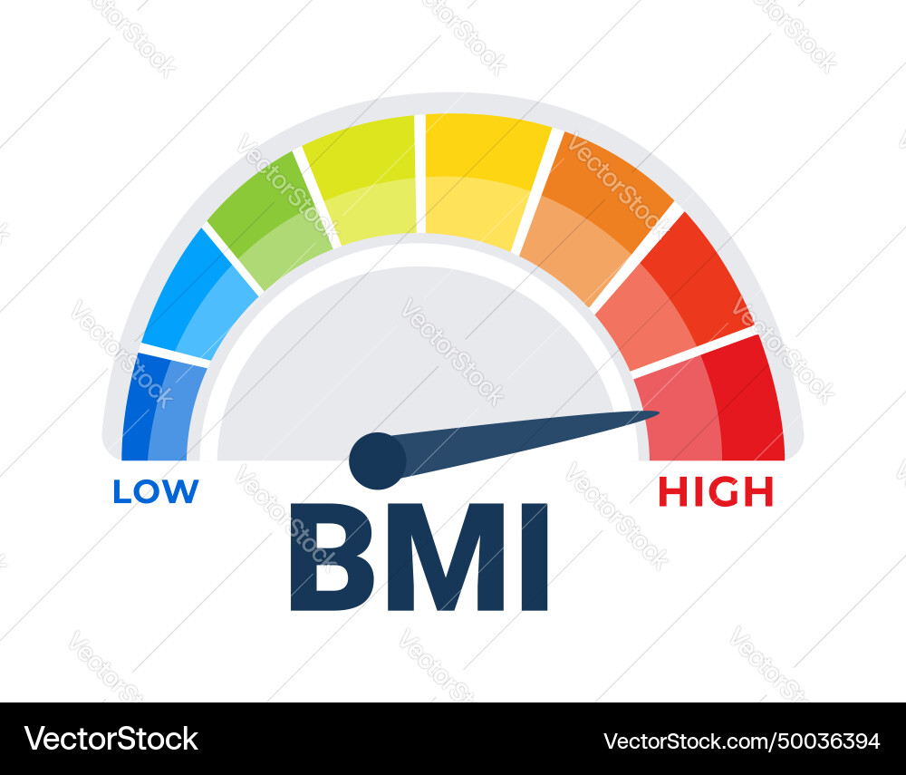 Comprehensive body mass index bmi meter Royalty Free Vector