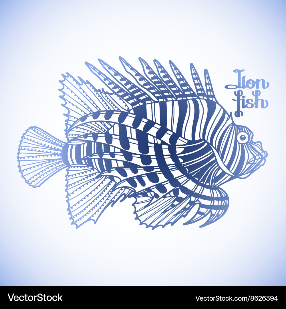 Graphic lion fish Royalty Free Vector Image - VectorStock