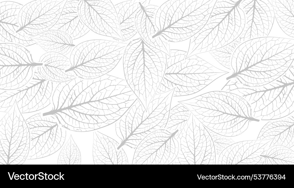 Leaf Skeleton Pattern Vector Images (over 1,300)