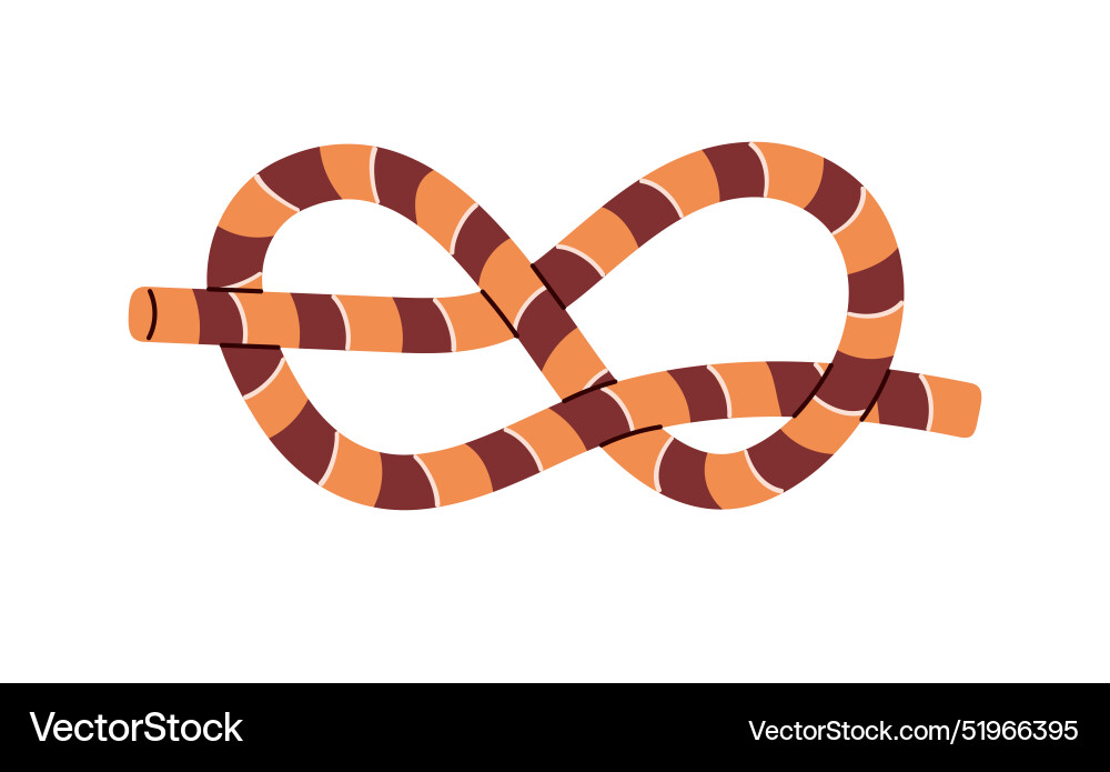 Figure eight knot of striped rope tutorial Vector Image
