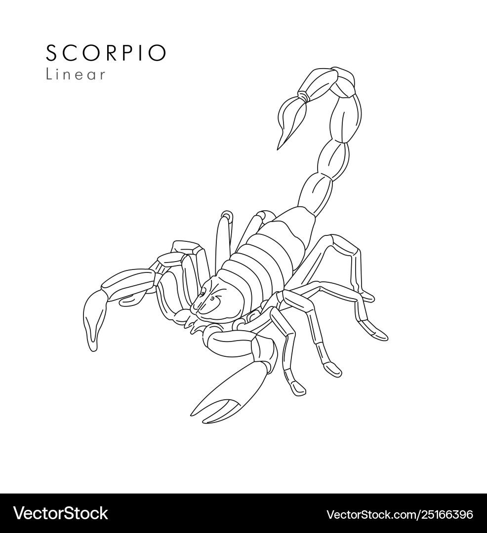 Scorpion linear or tattoo sketch hand Royalty Free Vector