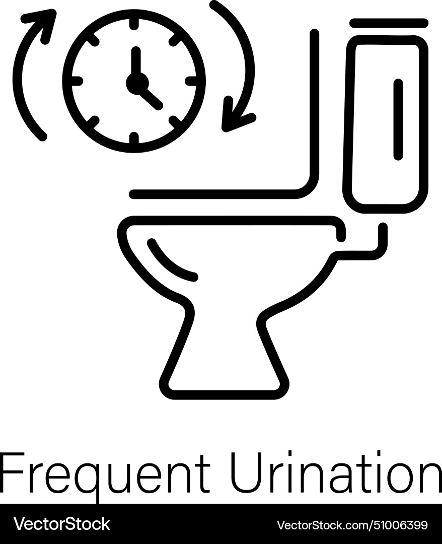 Frequent urination Royalty Free Vector Image - VectorStock
