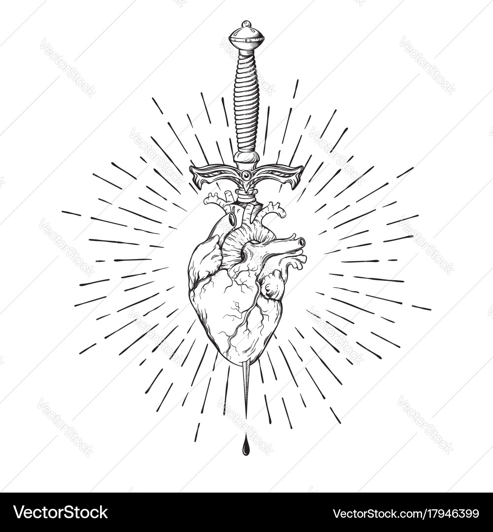 Human heart pierced with ritual dagger Royalty Free Vector