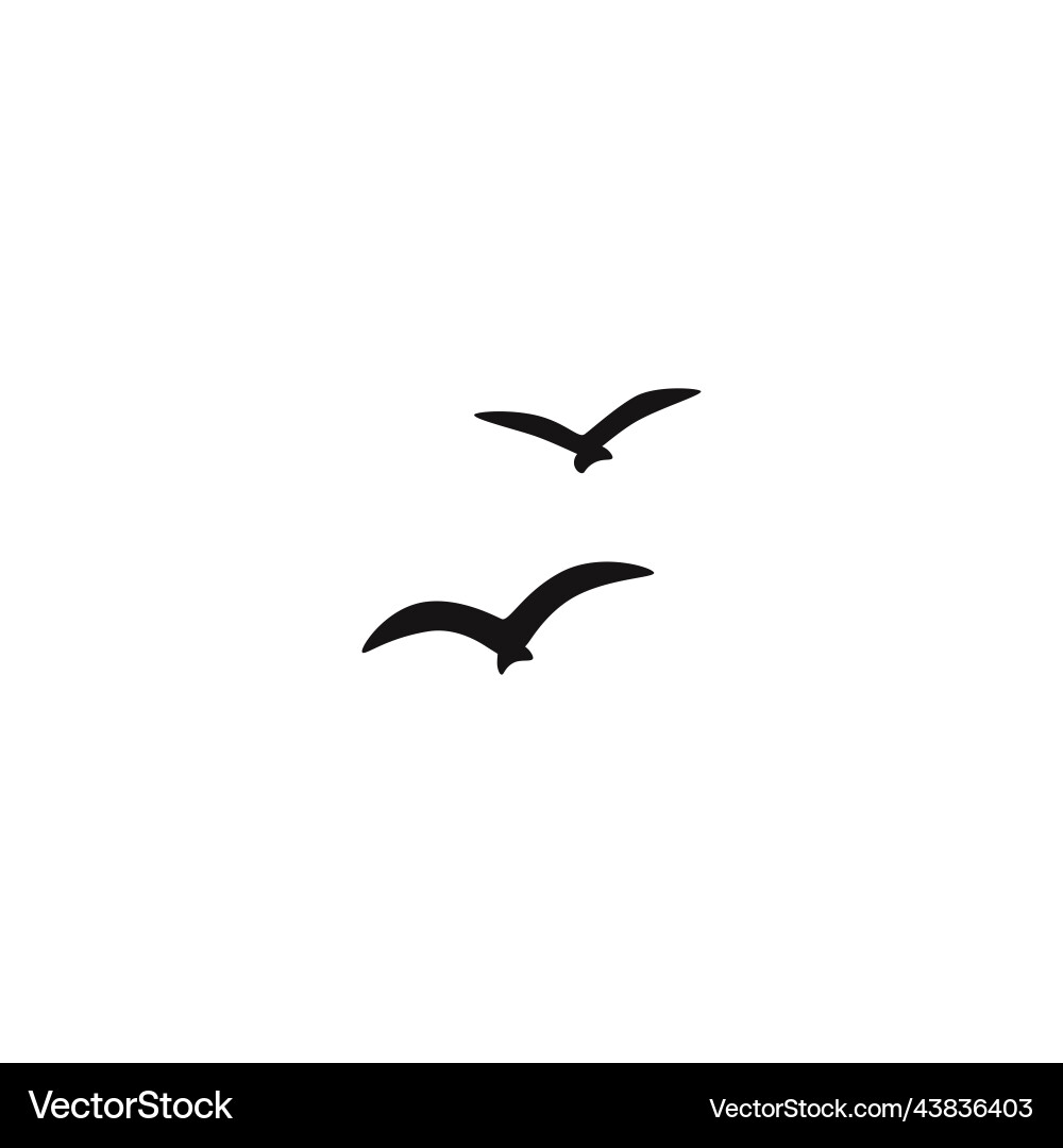 Birds Flying Silhouette Vector