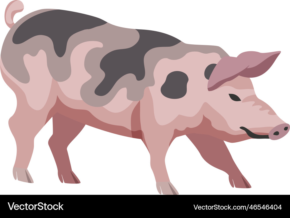 Flat pig Royalty Free Vector Image - VectorStock
