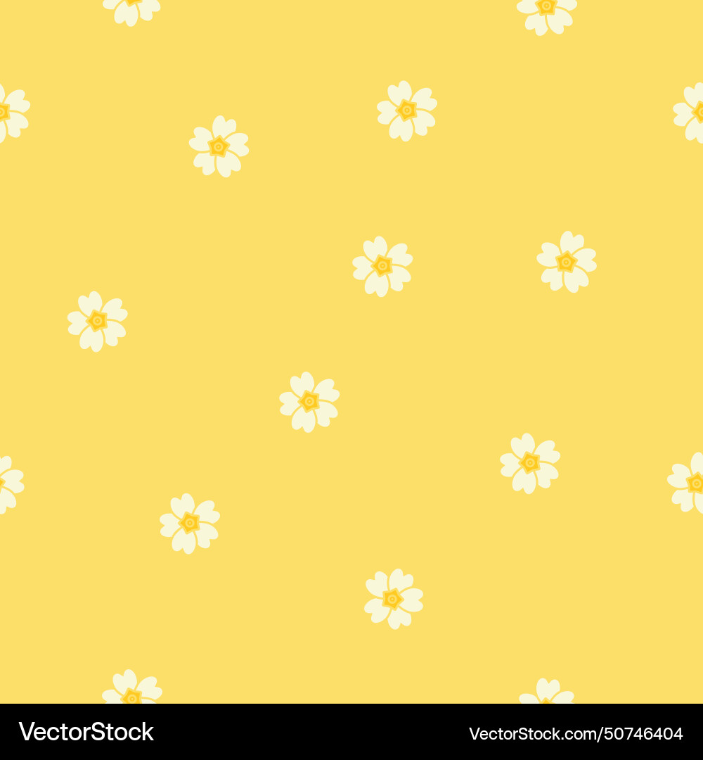 Primula primrose vulgaris seamless Royalty Free Vector Image