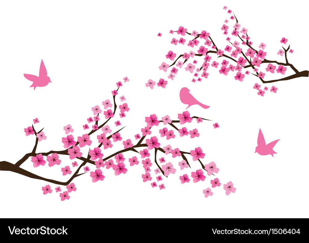 Sacura Vector Images (over 250)