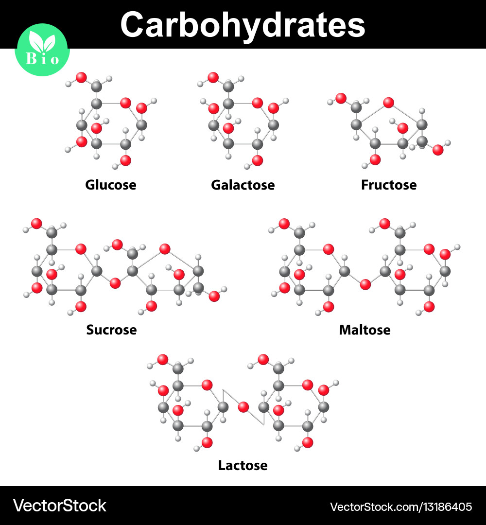 General carbohydrates molecular structures Vector Image