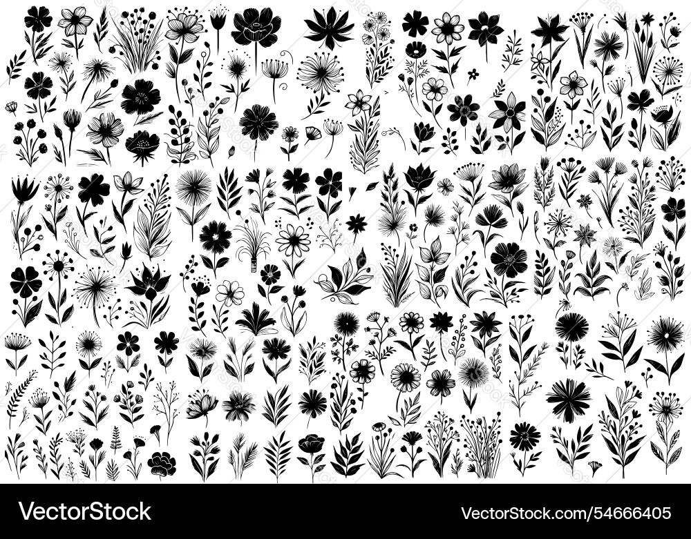 Ink hand drawn wild flowers s Royalty Free Vector Image