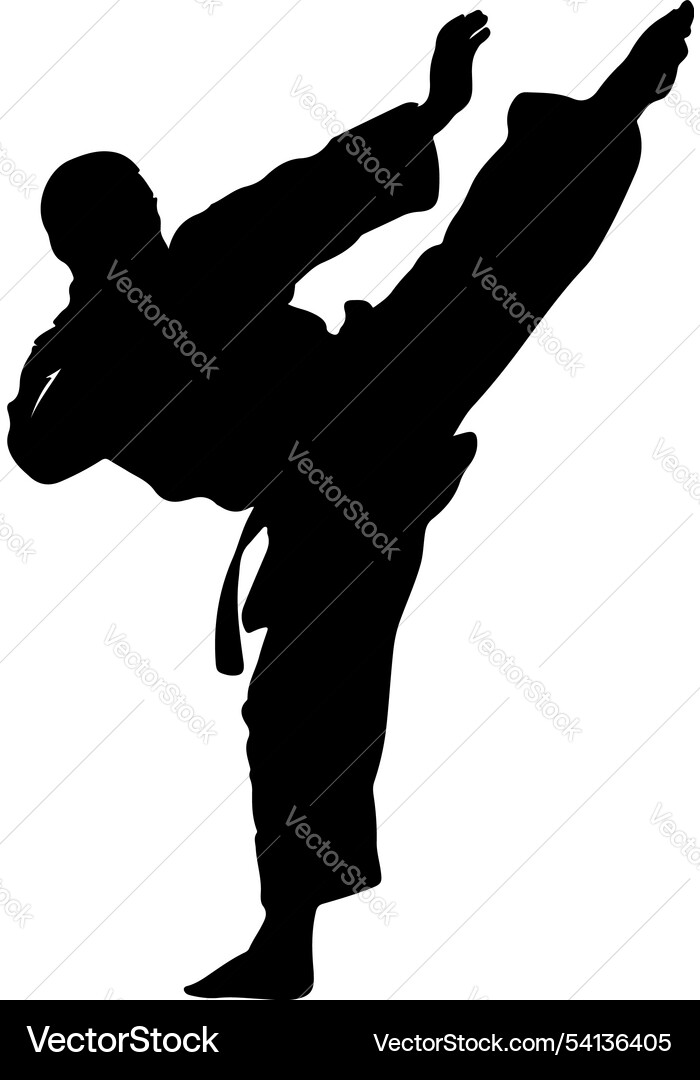 Karate fighter in traditional combat stance Vector Image