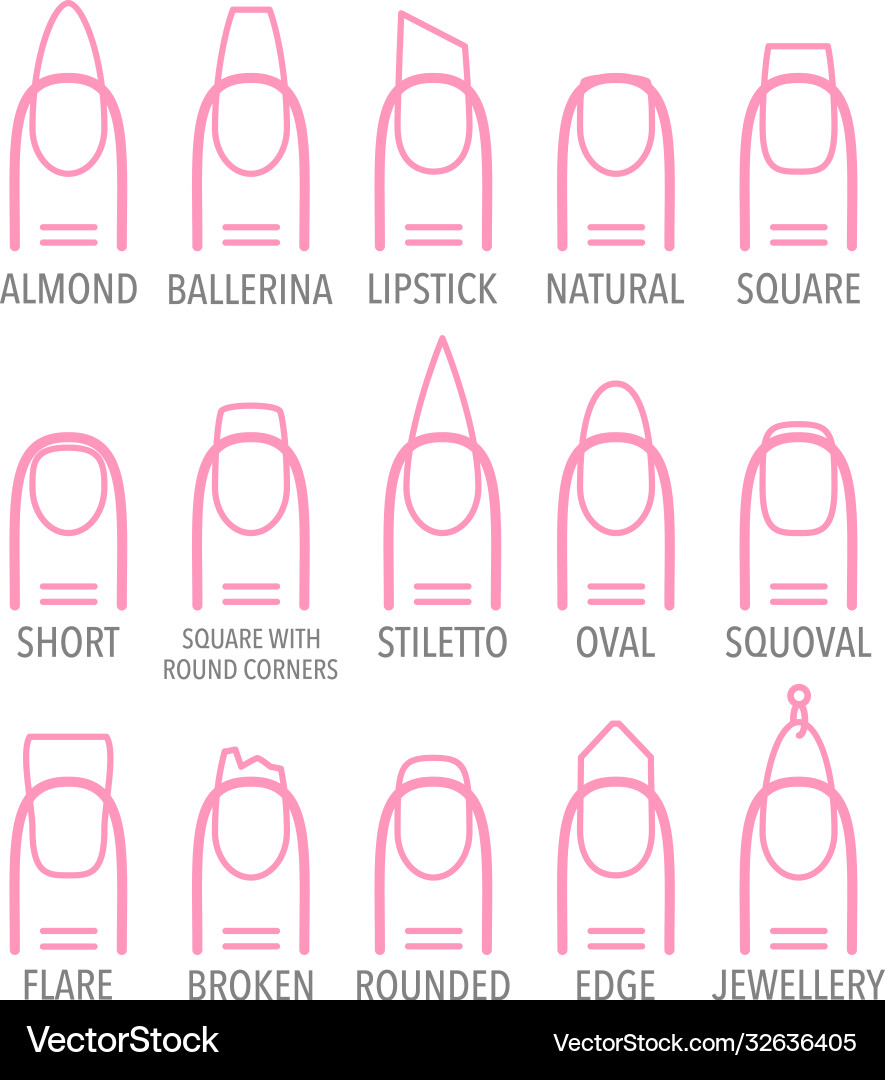 Nail Shape Variety Royalty Free Vector Image - VectorStock