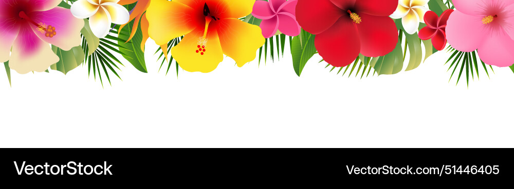 Tropical banner with leaf and flowers Royalty Free Vector