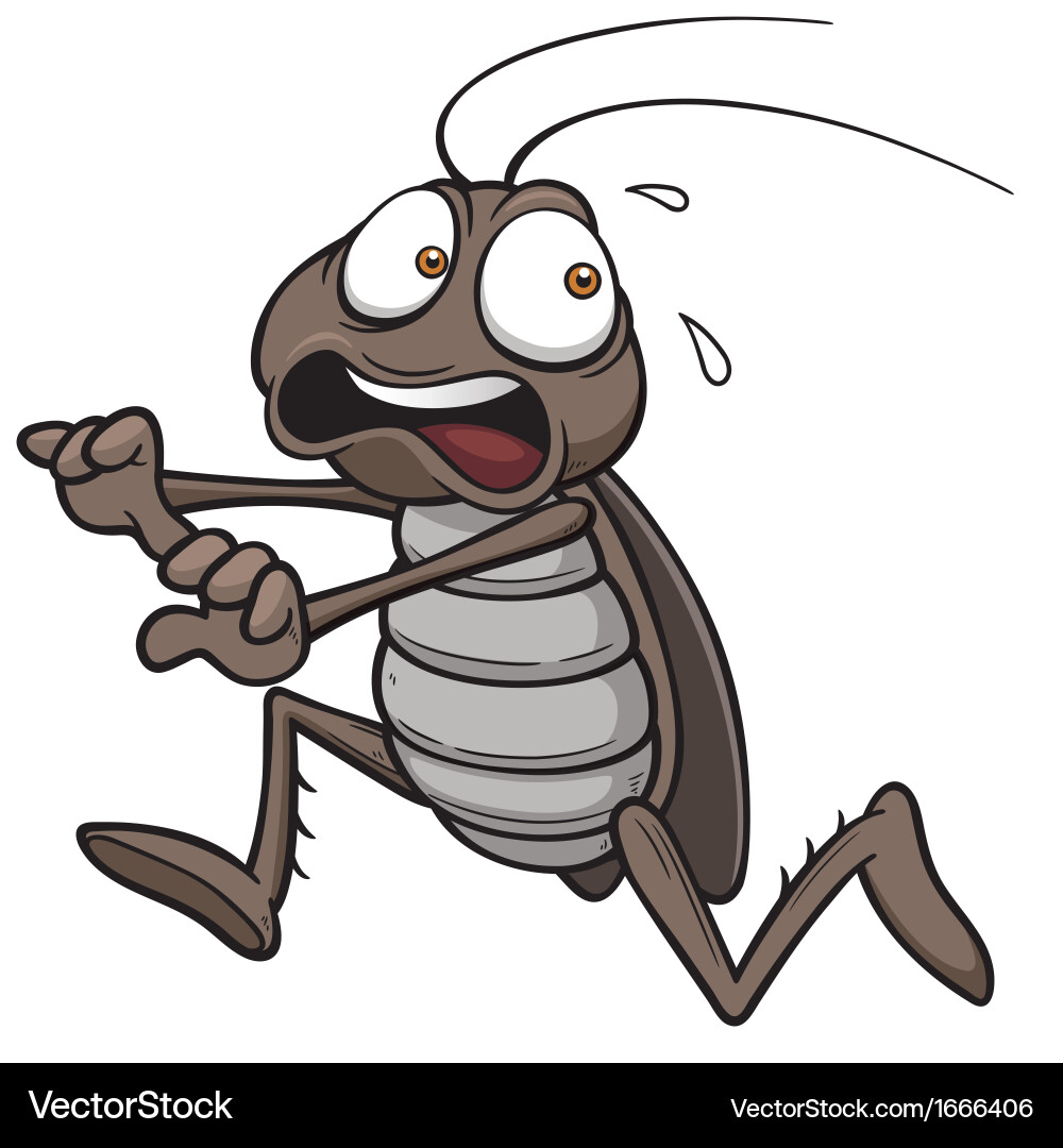 Cockroach Royalty Free Vector Image - VectorStock