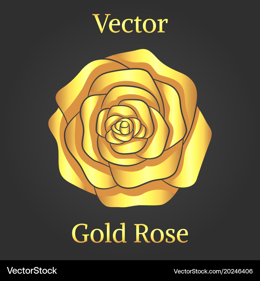 Gold rose flower Royalty Free Vector Image - VectorStock