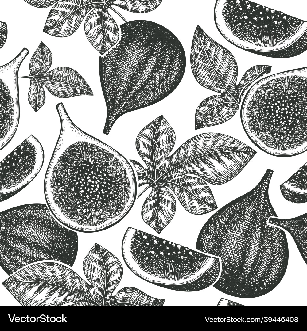 Hand drawn fig fruits seamless pattern organic Vector Image