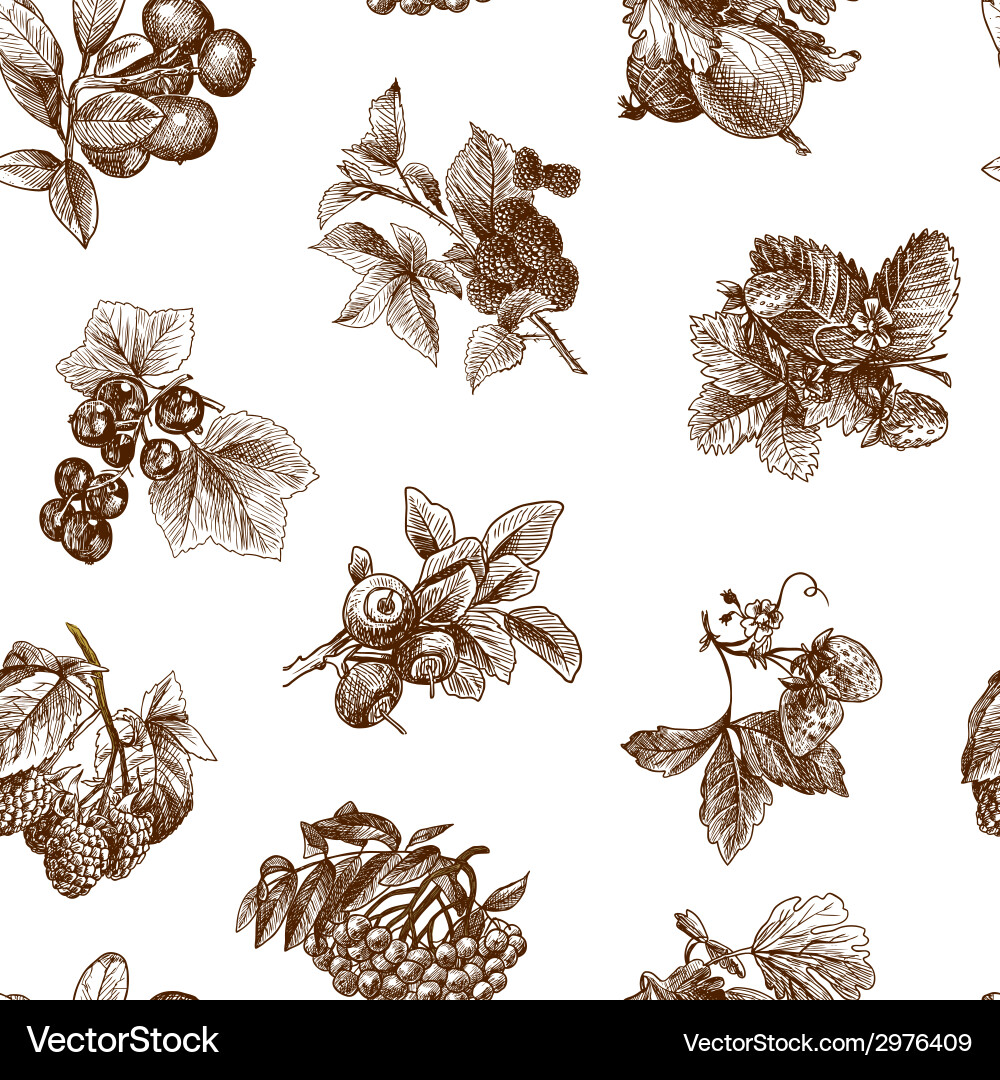 Sketch berries seamless pattern Royalty Free Vector Image