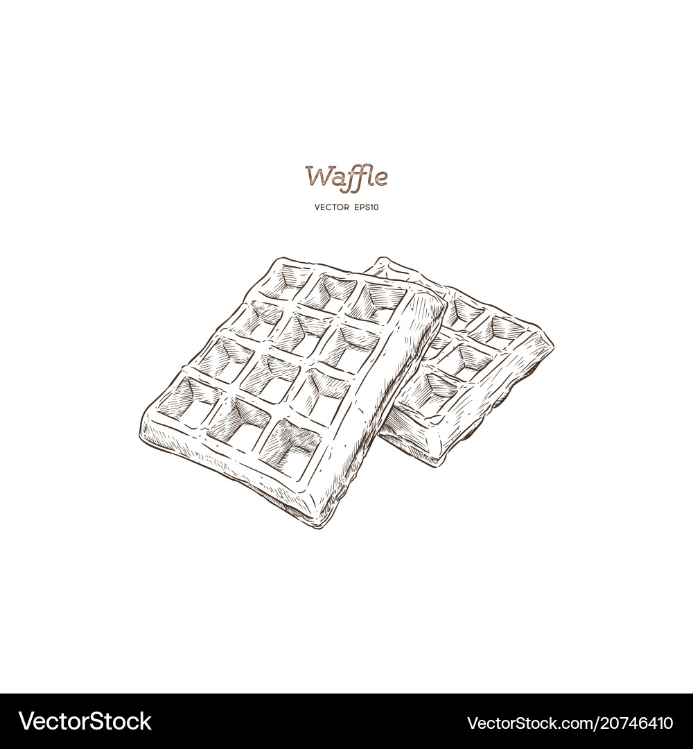 Waffles hand draw sketch Royalty Free Vector Image