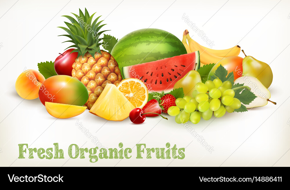 Food background with fresh colorful fruits Vector Image