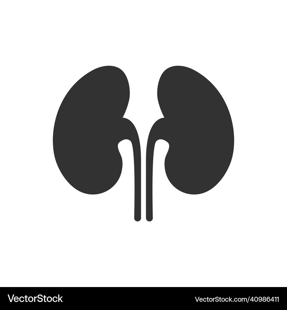 Kidney renal care icon urology Royalty Free Vector Image