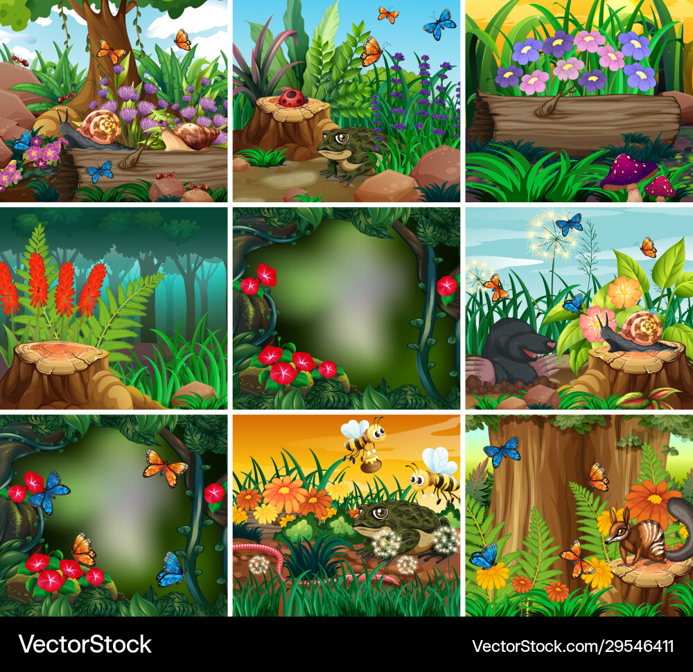 Set background scene with nature theme Royalty Free Vector