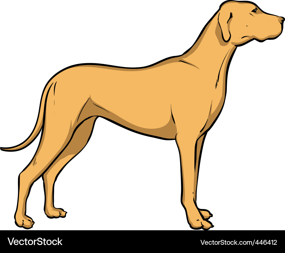 Hunting dog Royalty Free Vector Image - VectorStock