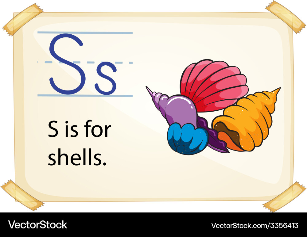 A letter s for shells Royalty Free Vector Image