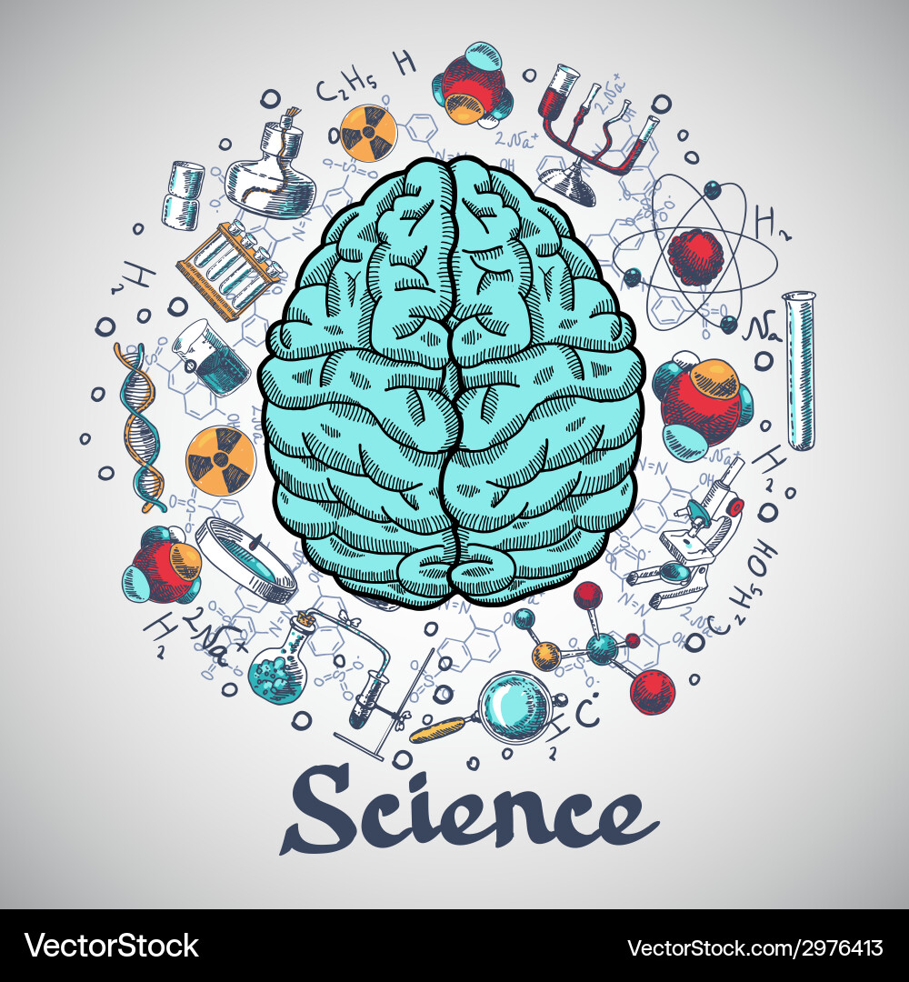 Brain sketch science concept Royalty Free Vector Image