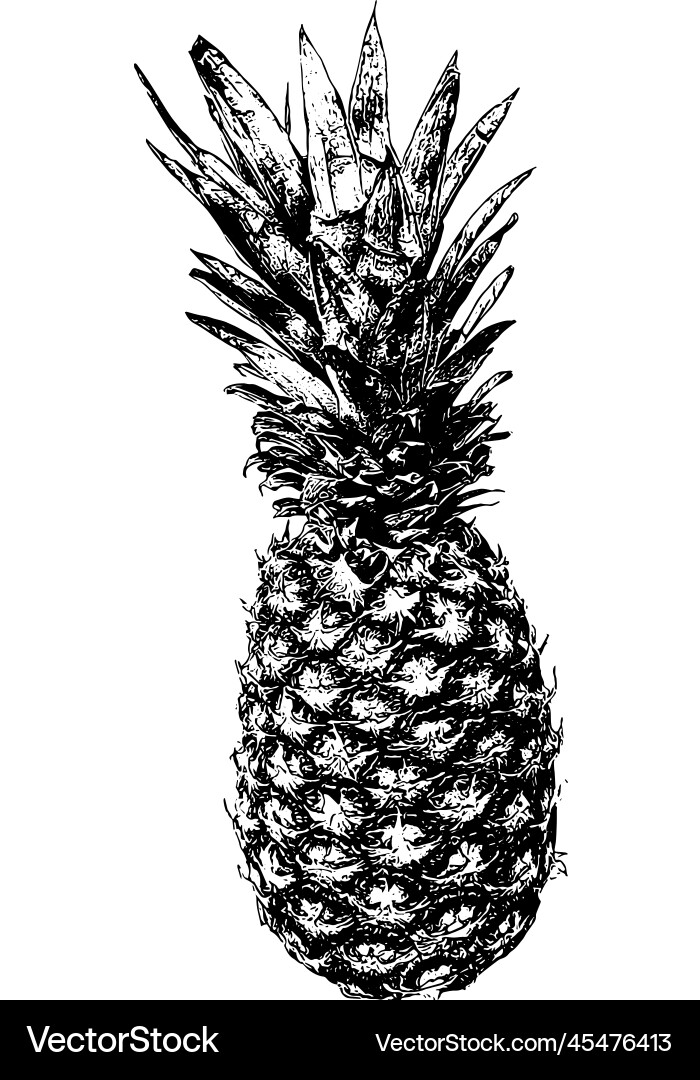 Pineapple sketch isolated Royalty Free Vector Image
