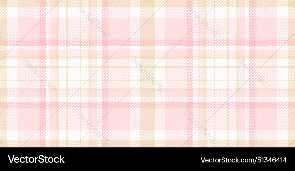Home background tartan check paint fabric texture Vector Image