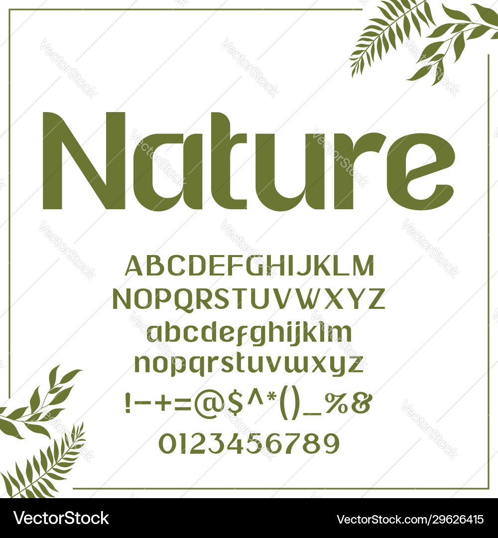 Elegant Nature Font Typeface Royalty Free Vector Image