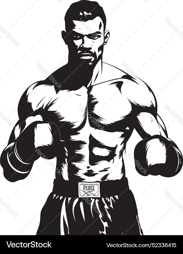 Gloved champion silhouetted boxer ring virtuoso Vector Image