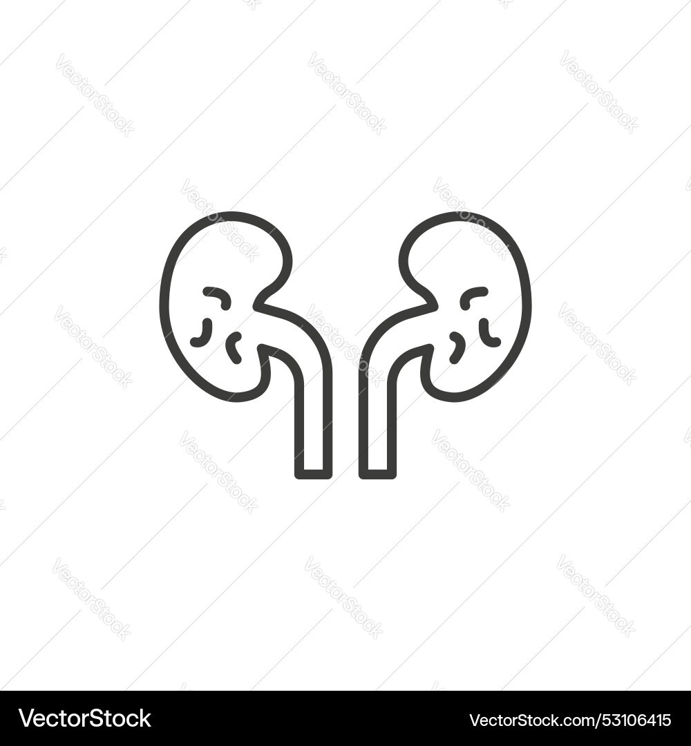 Kidney disease line icon isolated on white Vector Image