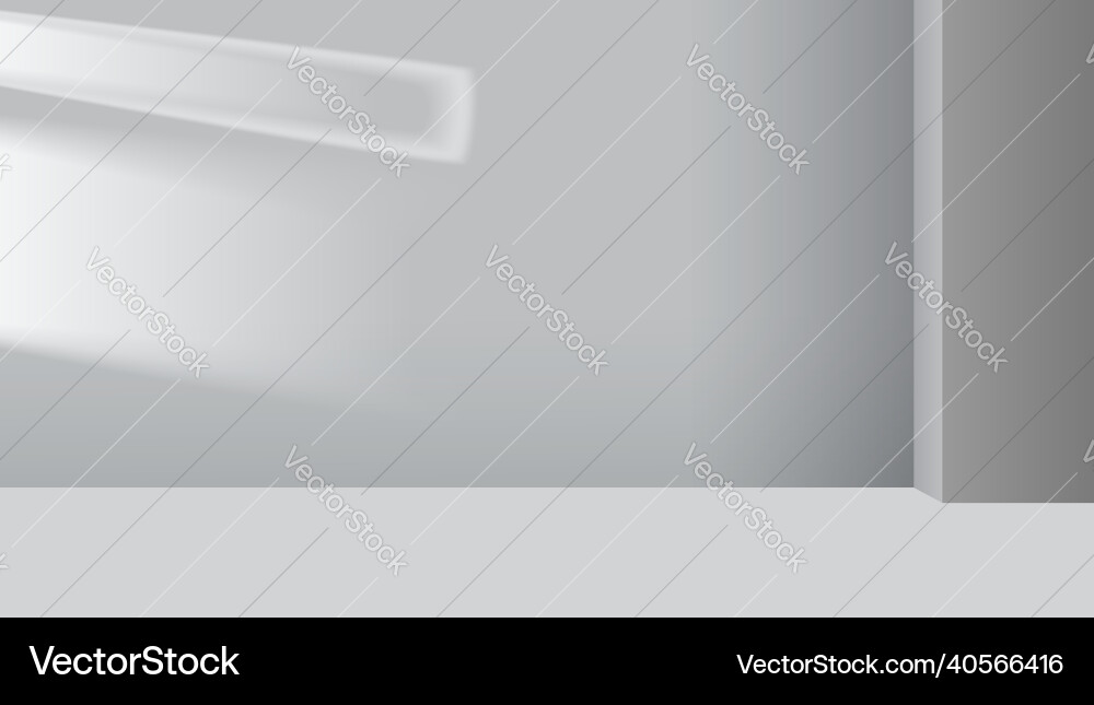 Grayscale studio background with side light from Vector Image