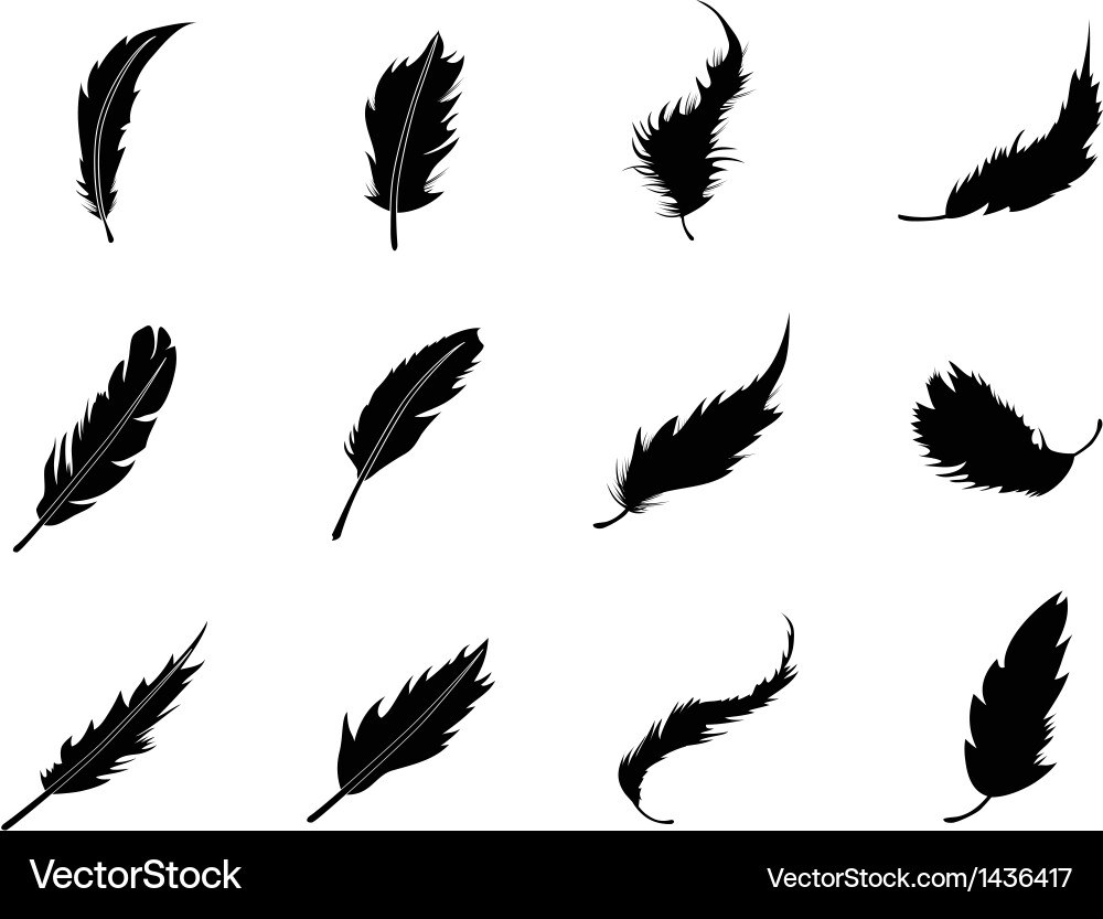 Feather icons set Royalty Free Vector Image - VectorStock