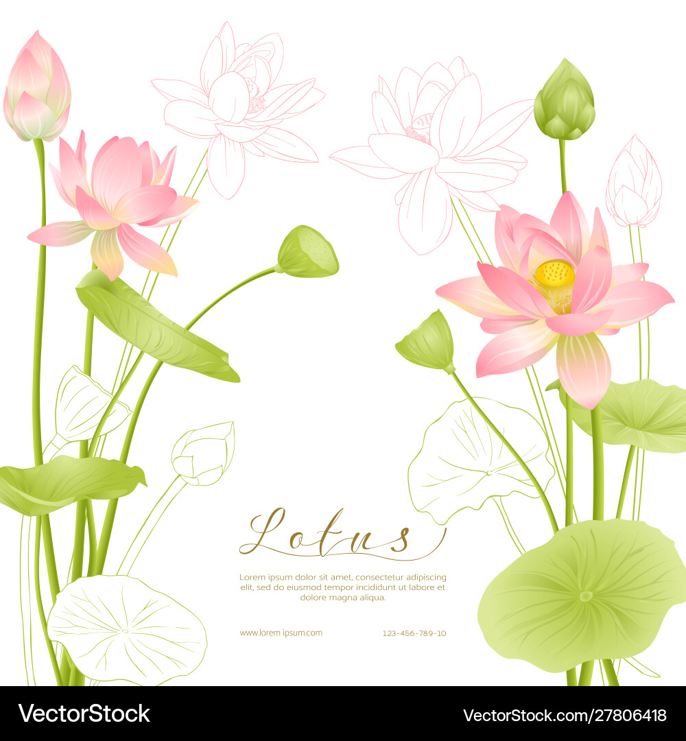 Lotus flowers template for wedding invitation Vector Image
