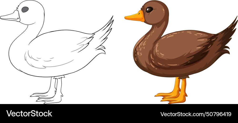 A duck outlined and colored Royalty Free Vector Image