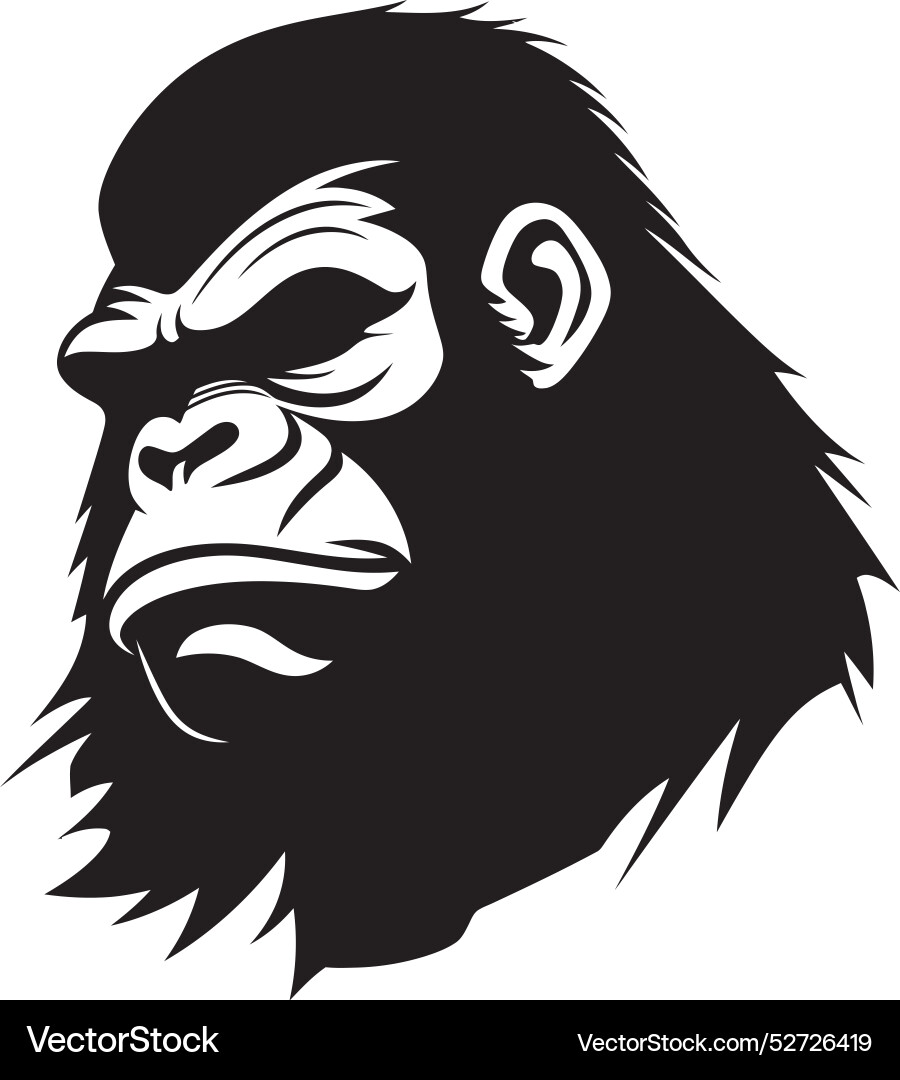 Gorilla sanctuaries havens for orphaned primates Vector Image