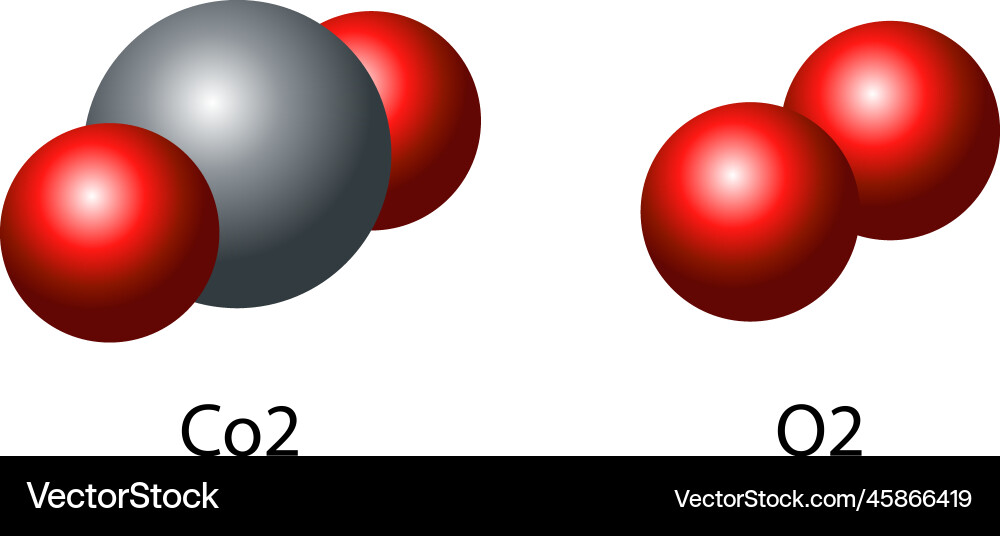 Molecules of carbon dioxide and oxygen Royalty Free Vector
