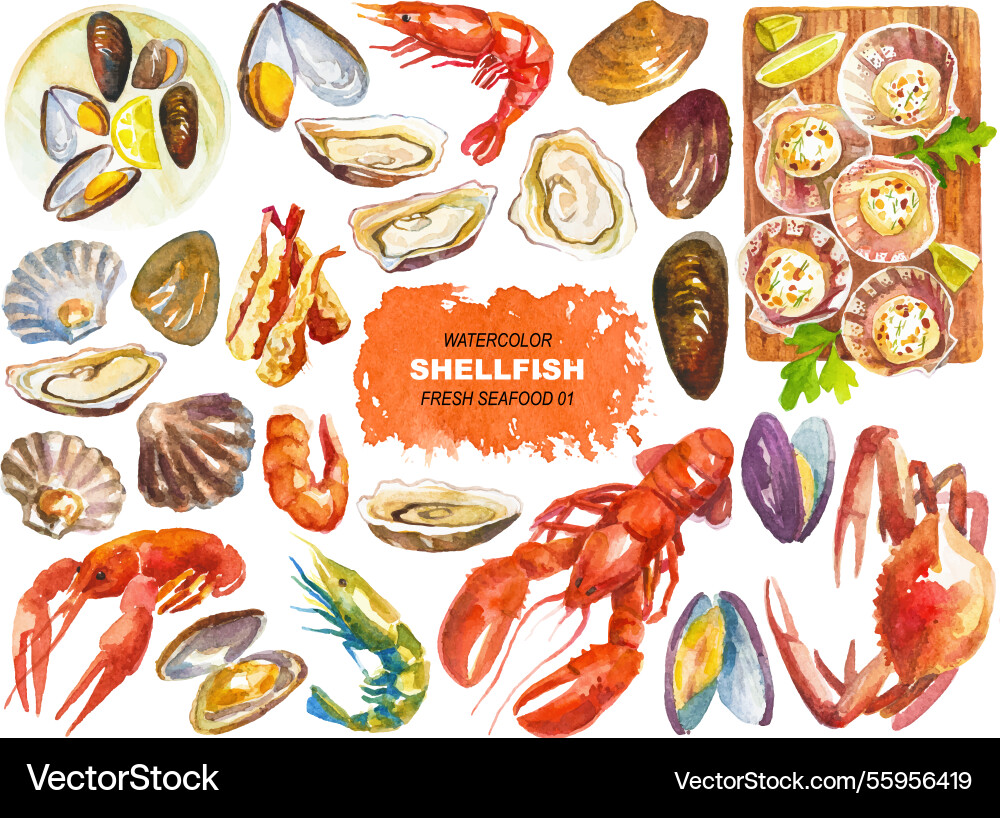 Watercolor painted shellfish clipart hand drawn Vector Image