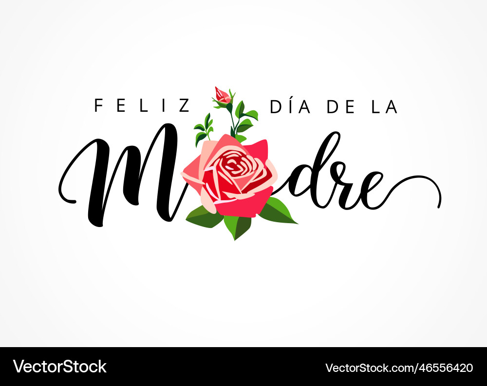 Feliz dia de la madre lettering and rose card Vector Image