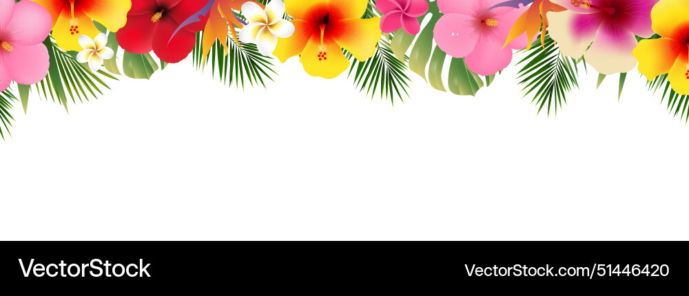 Tropical flowers banner with leaves frame – Royalty-Free Vector ...